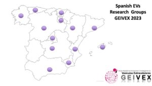 GEIVEX groups 2025 – Geivex