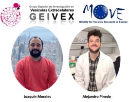 Geivex – Grupo Español de Innovación e Investigación en Vesículas ...